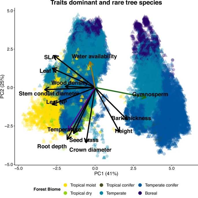 Effect of climate on traits of dominant and rare tree species in the ...
